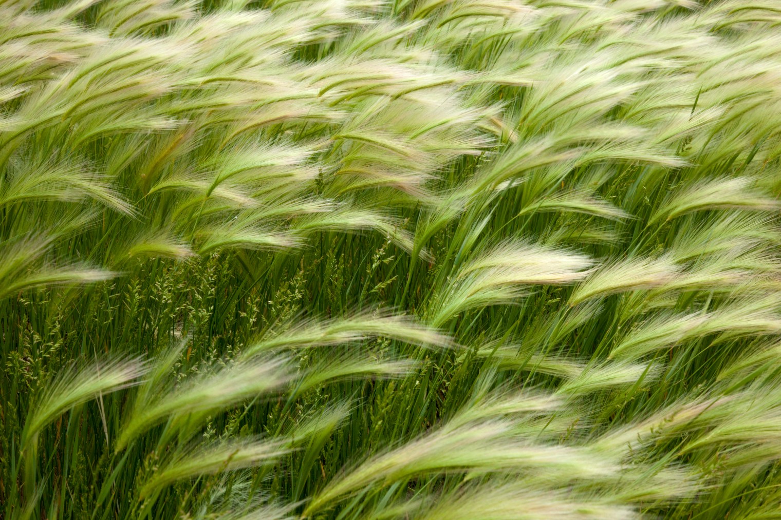 Contemplative Photography | Reflecting on images to feed the soul