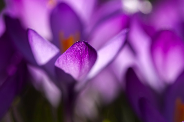 The Language of Color | Contemplative Photography