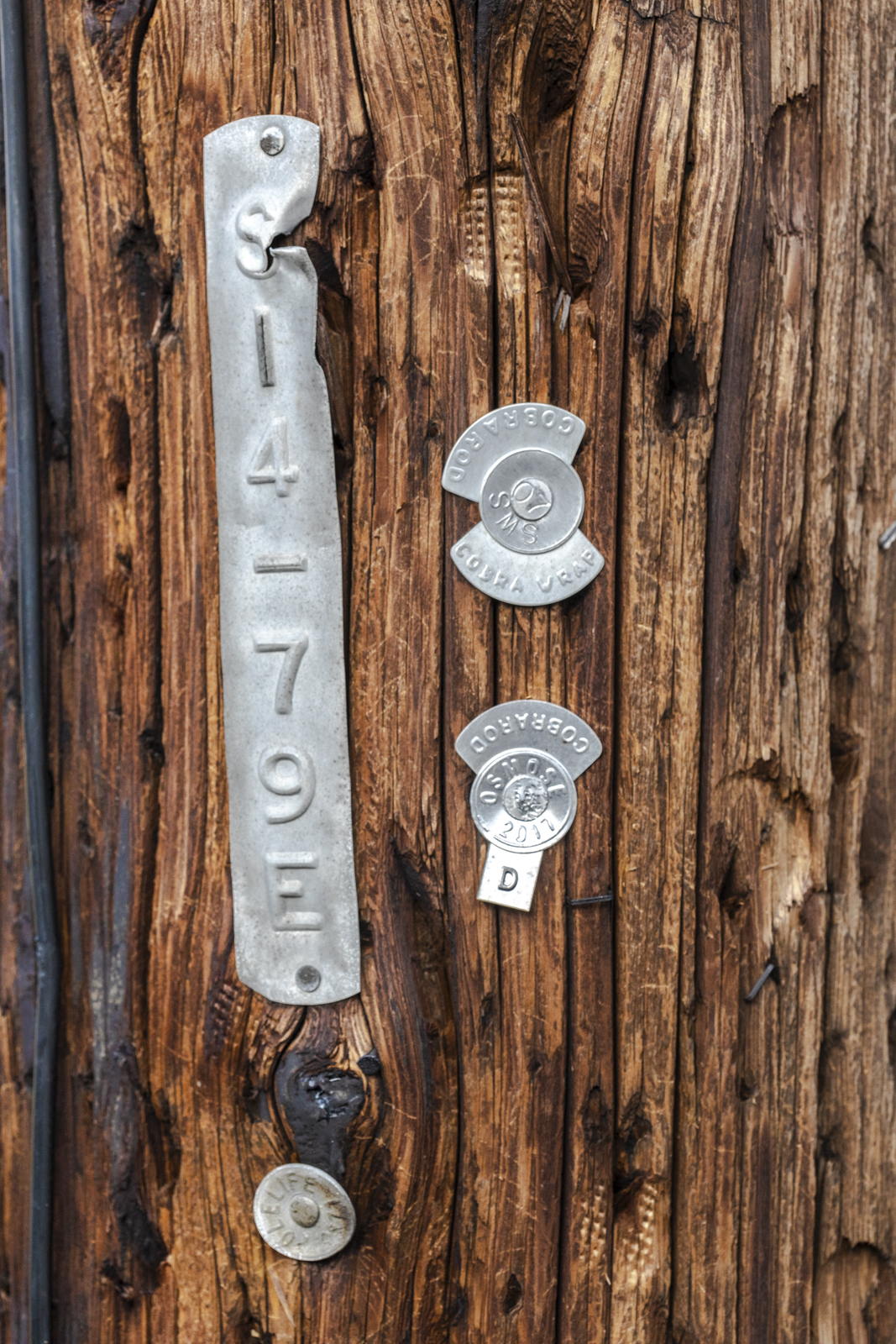 Contemplative Photography